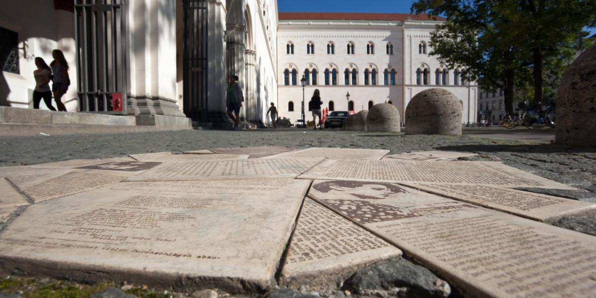 Projects - SPP2404 DeepDyn - LMU Munich