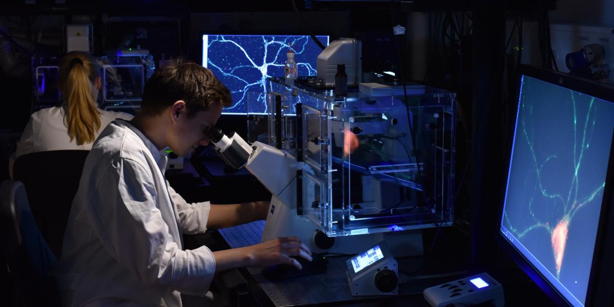 Research - Biomedical Center - LMU München