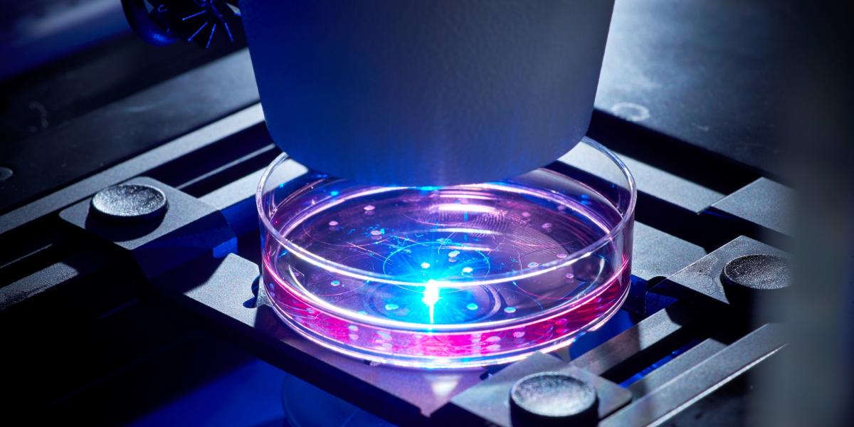 Research Infrastructure - Faculty of Medicine - LMU Munich