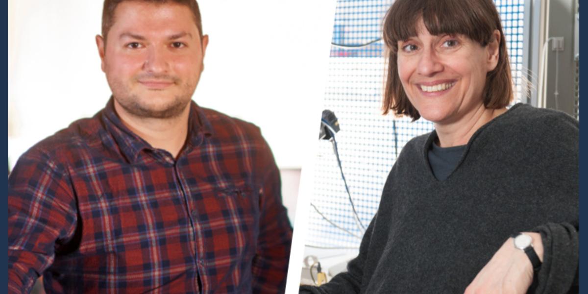 Key mechanisms identified for reg … - Faculty of Medicine - LMU Munich