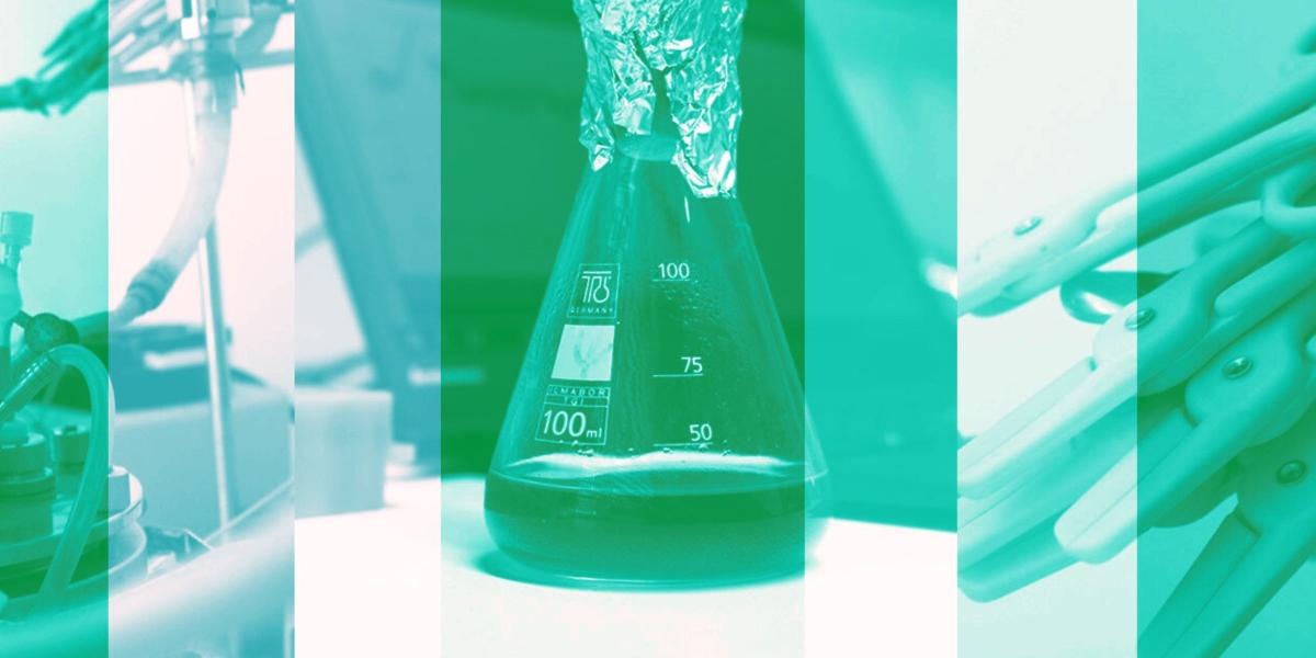 Merrow Lab Publications - Institute of Medical Psychology - LMU Munich