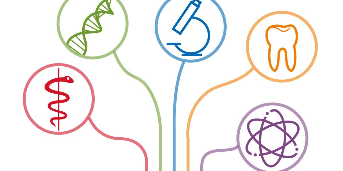 The MMRS - Faculty of Medicine - LMU Munich