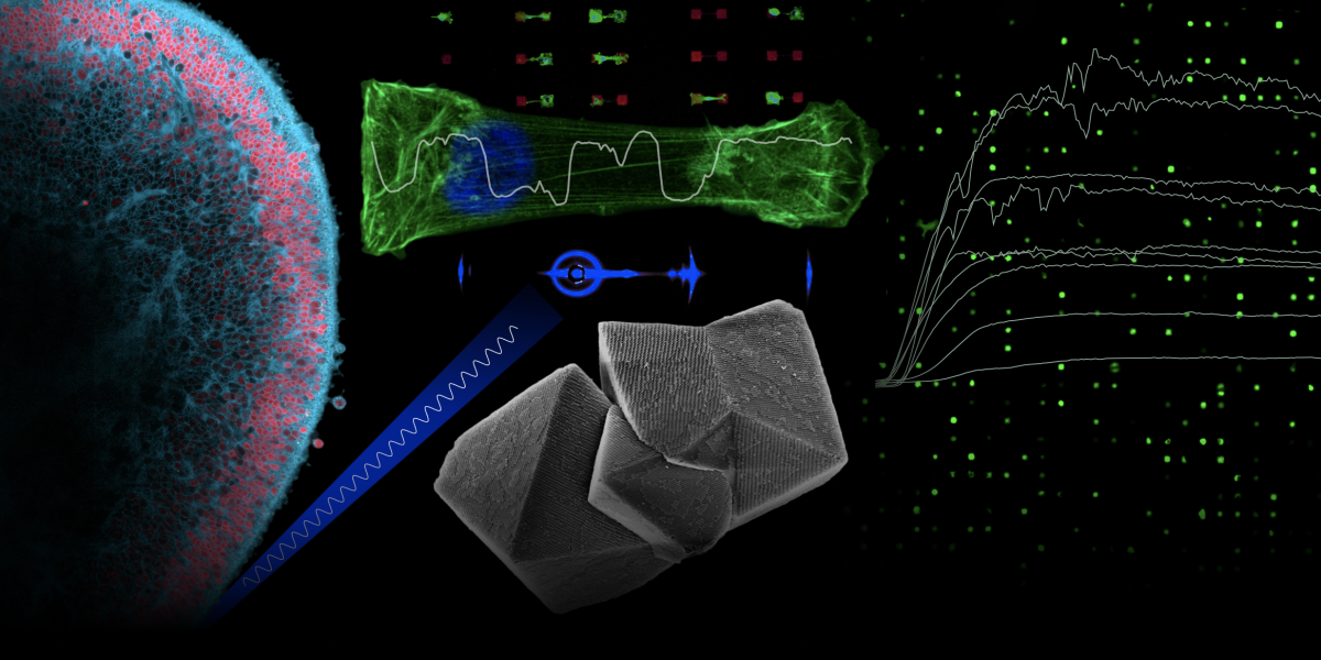 Home - Soft Matter Physics - Fakulty of Physics - LMU Munich
