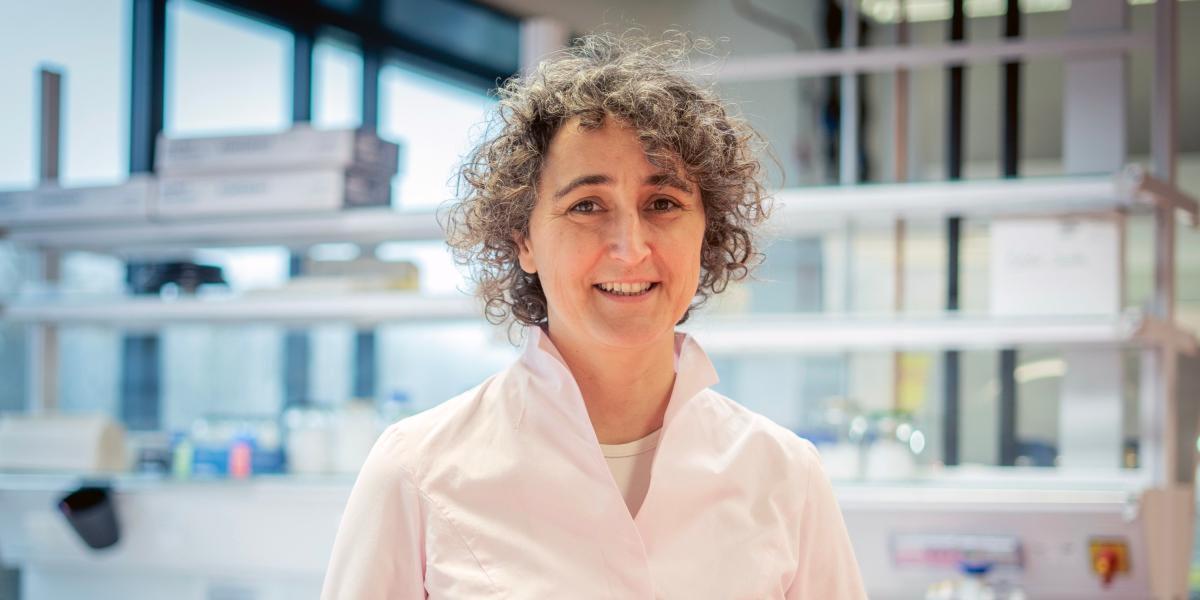 Klick-Chemie: „Uns … - Fakultät für Chemie und Pharmazie - LMU München