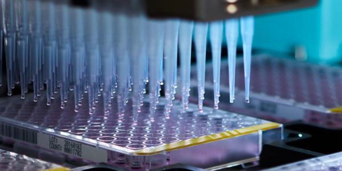 Activation of innat … - Faculty of Chemistry and Pharmacy - LMU Munich