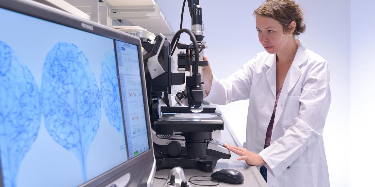 Electron microscopy - Faculty of Biology - LMU Munich