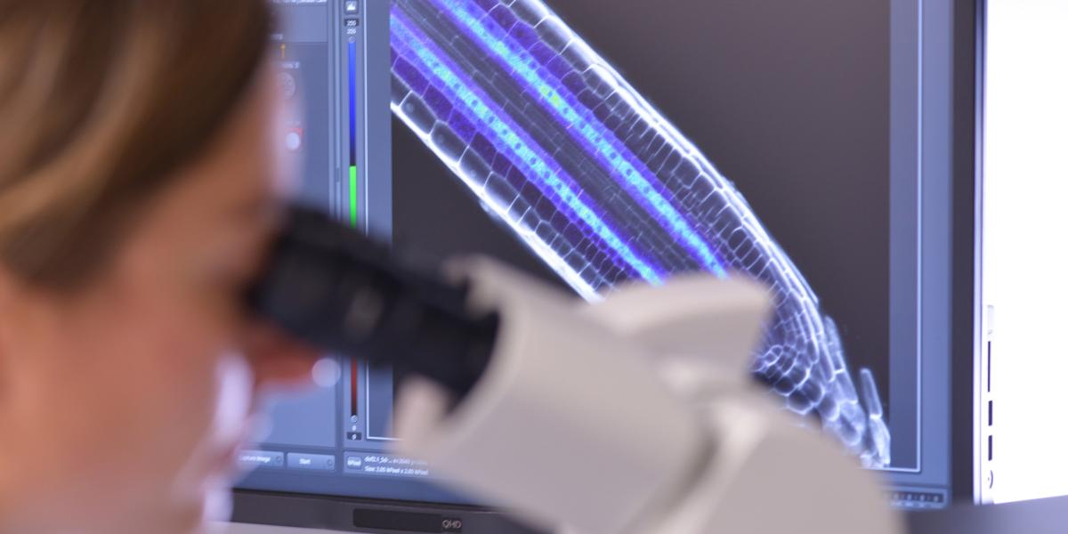 Research Infrastructure & Core Facilities - Faculty of Biology - LMU Munich