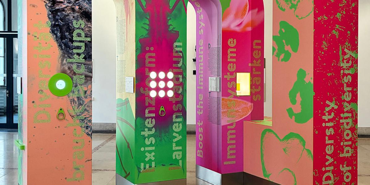 Current exhibition: “Diversity of … - Faculty of Biology - LMU Munich