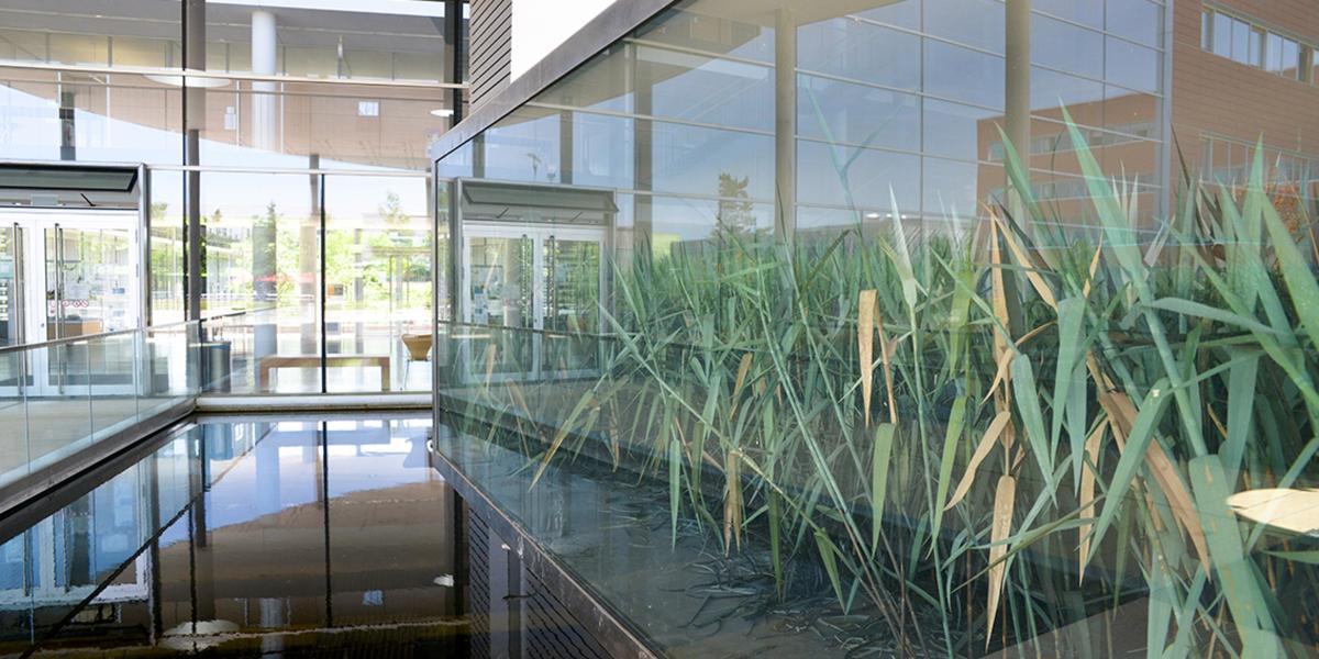 All news - Faculty of Biology - LMU Munich