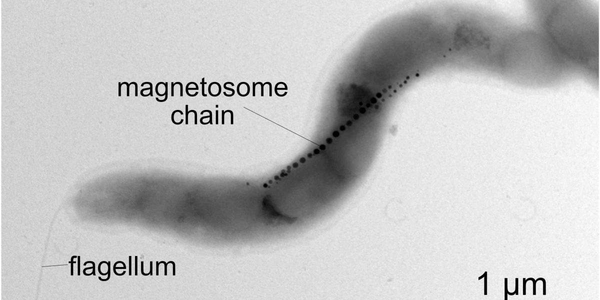 Schulprojekte - SPP2404 DeepDyn - LMU München