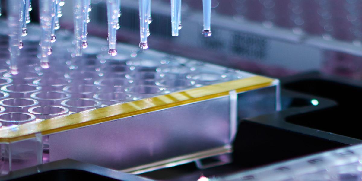 Research transfer - LMU Munich