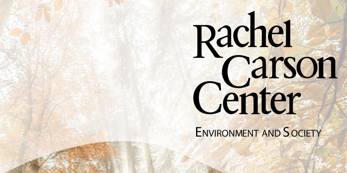 Katie Ritson: Fueling fairy tales? The quest for an off … - LMU Munich