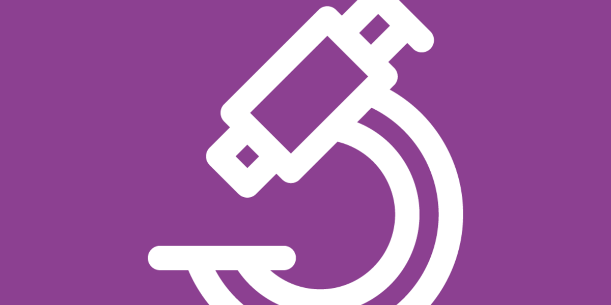 Biological patterns: stability through protein reservoi … - LMU Munich