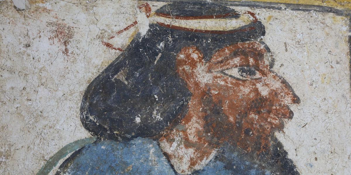 Bird nests for the pharaoh - LMU Munich