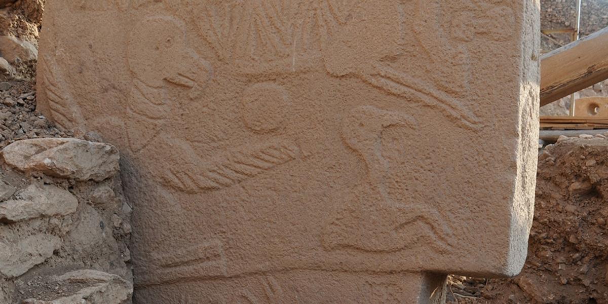 Die Jagd auf alles, was fliegt - LMU München