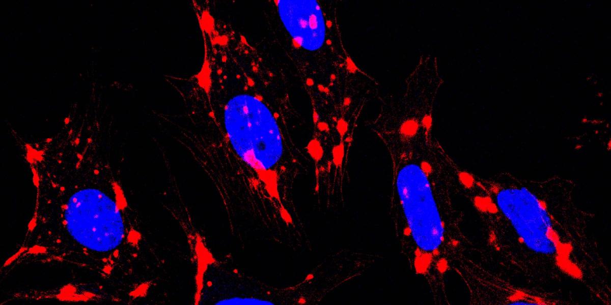 Pigments of Life - LMU Munich
