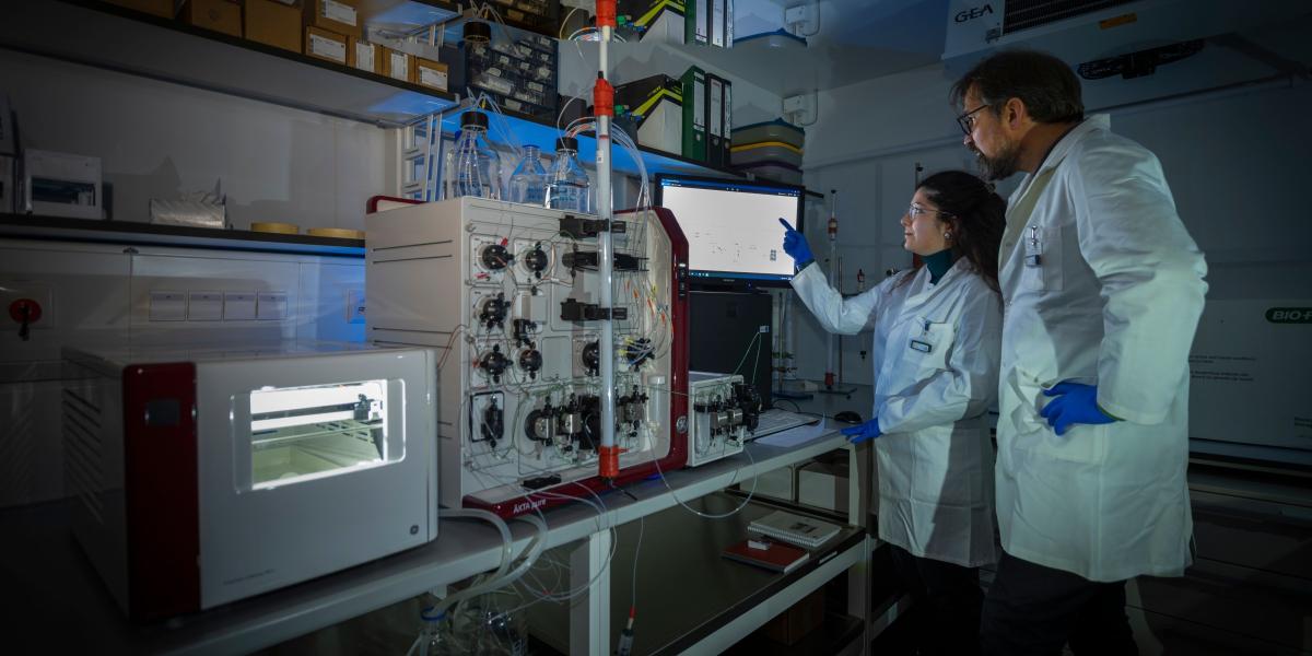 Molecular biology: DNA packaging supports cell division - LMU Munich