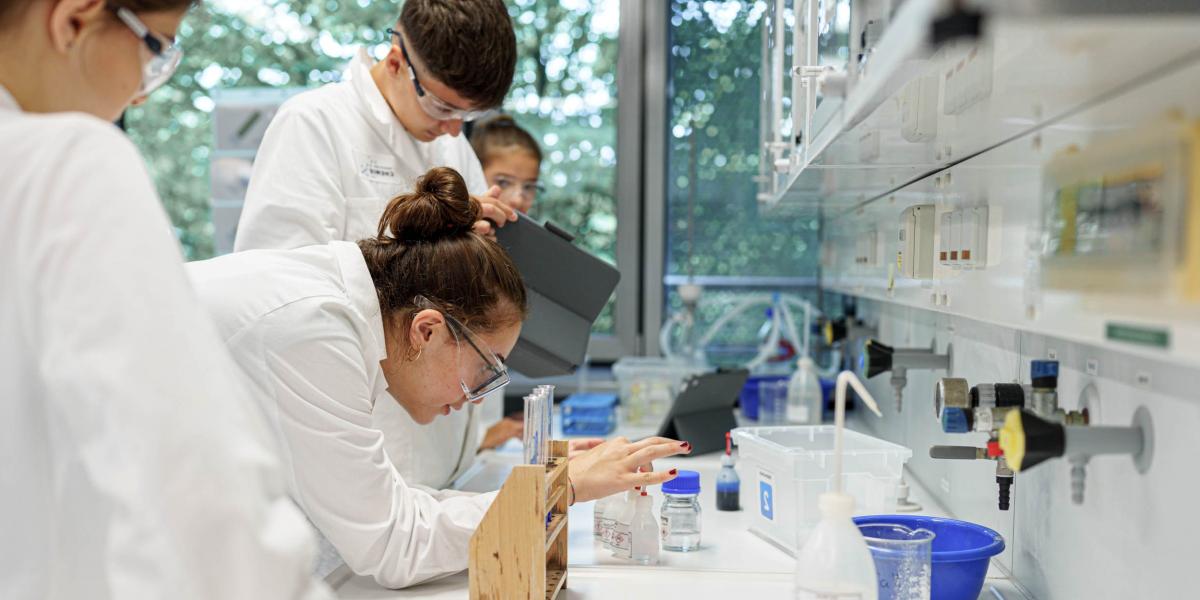 Understanding chemistry: Hands-on experience, not just … - LMU Munich