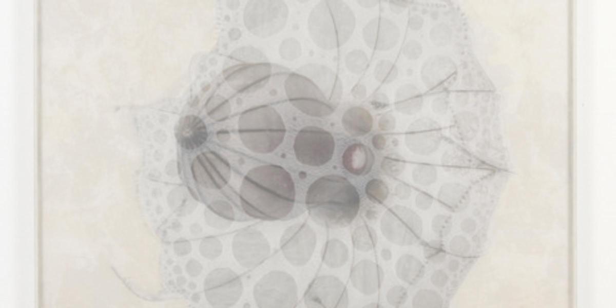 Art at CAS: The Nature of Living Entities - LMU Munich