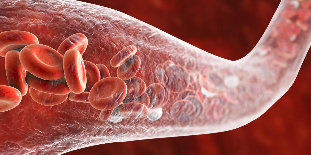 Mechanische Reize erfühlen - LMU München