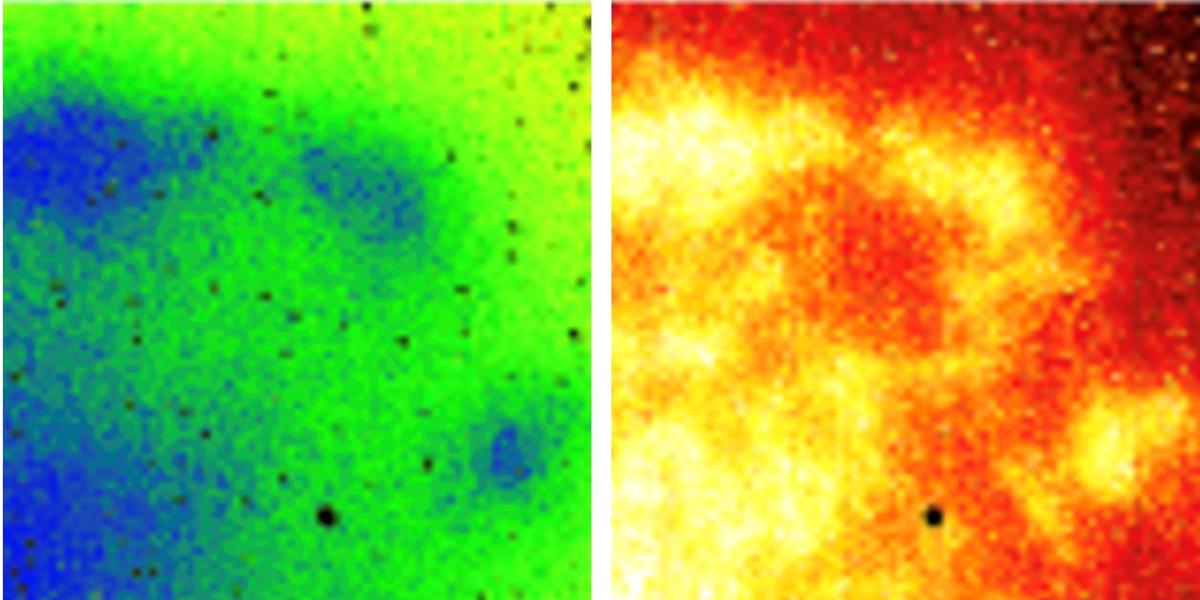 In the nano-aquarium: Infrared super-resolution microsc … - LMU Munich In the nano-aquarium: Infrared super-resolution microsc … - LMU Munich