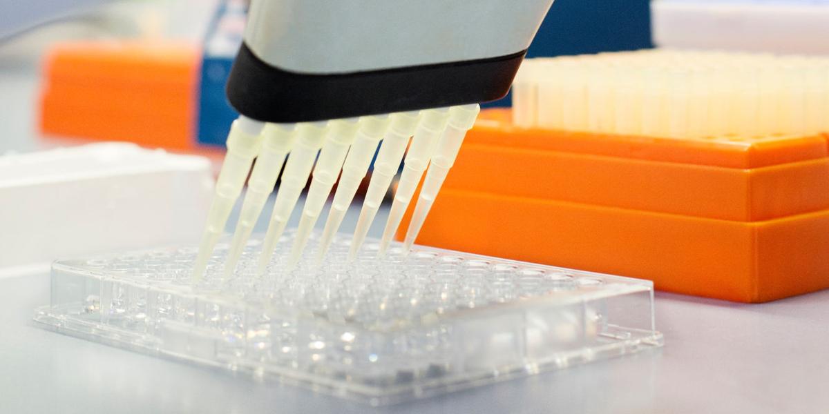 Immunotherapy: Antibody kit to fight tumors - LMU Munich