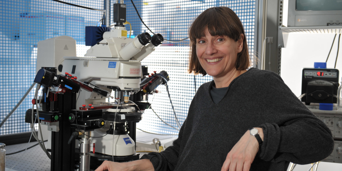 Key mechanisms identified for regeneration of neurons - LMU Munich
