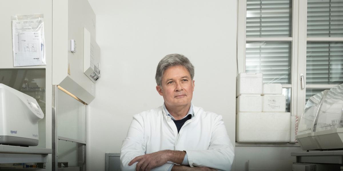 Advancing stem cell-based therapy for type 1 diabetes - LMU Munich